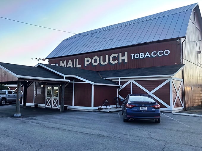 Not your grandfather's barn—unless your grandfather had impeccable taste in rustic-chic design and a passion for Mail Pouch tobacco signage.