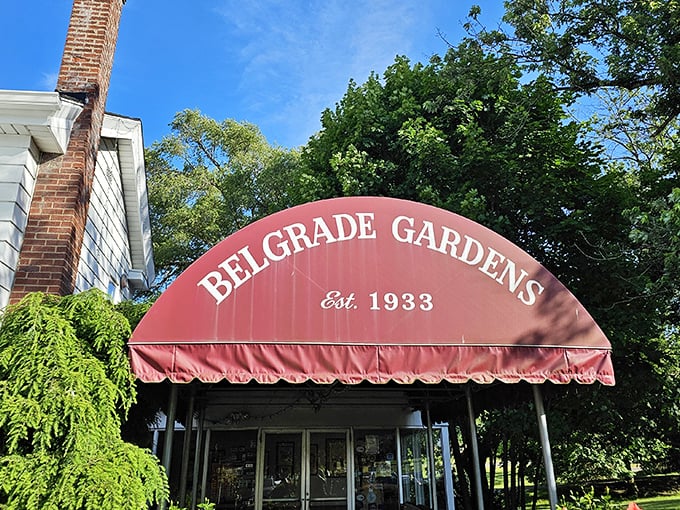 The iconic red awning of Belgrade Gardens stands as a beacon to fried chicken pilgrims, promising culinary salvation since 1933.