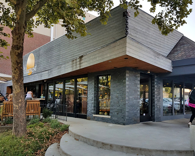 The welcoming exterior of Harvest Pizzeria beckons with its modern rustic charm and sunny logo—like a culinary lighthouse guiding hungry travelers home.