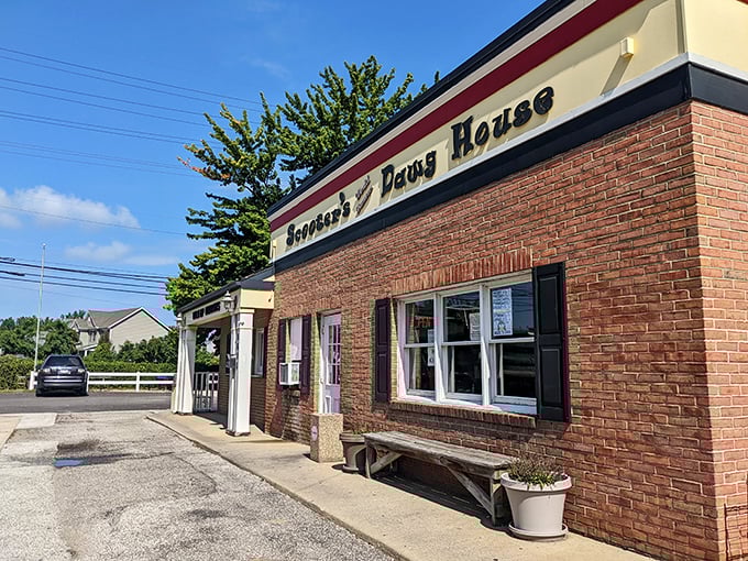 Scooter's bold signage promises what lies within—a temple of tubular meat worship under the Ohio sky.