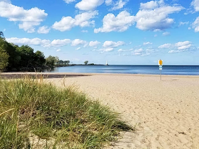 Mother Nature showing off her best work—pristine sand meeting crystal blue water under a sky that seems to go on forever.