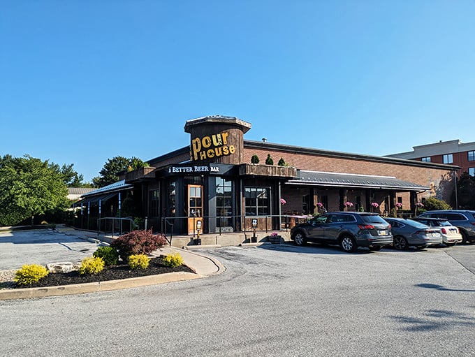 The Pour House's unassuming exterior hides culinary treasures that would make your taste buds write thank-you notes.