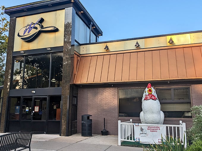 The giant chicken statue stands guard outside Wyomissing Restaurant and Bakery like a feathered bouncer promising poultry perfection within.