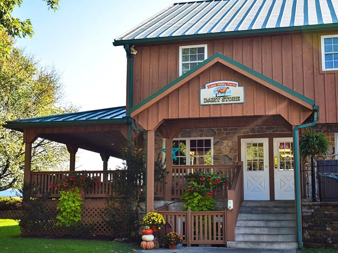 The rustic charm of Lapp Valley Farm's exterior isn't just Instagram-worthy—it's a portal to dairy nirvana that's been hiding in plain sight all along.