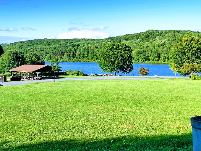 Nature's perfect postcard: emerald lawns meeting crystal waters, with forested hills creating the backdrop Mother Nature would use for her LinkedIn profile.