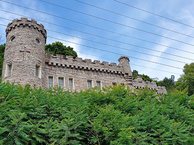 Like a medieval mirage rising from the Appalachian foliage, Berkeley Springs Castle stands defiantly against time, its stone towers whispering tales of another era. 