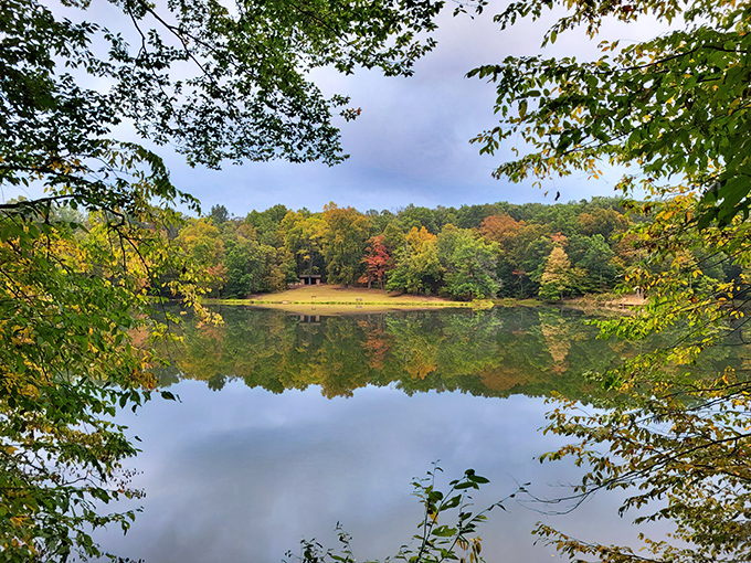 Mirror, mirror on the lake – autumn's masterpiece doubles its impact with a perfect reflection that makes you wonder which way is up.