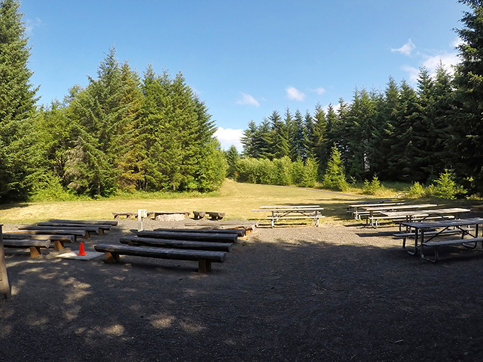 The park's amphitheater area offers log seating and a fire pit—nature's version of dinner theater, minus the overpriced drinks.