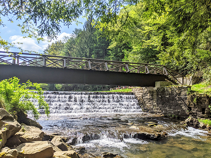 This isn't just a waterfall—it's Pennsylvania's version of a spa day. The rushing water provides free white noise therapy for overworked minds.