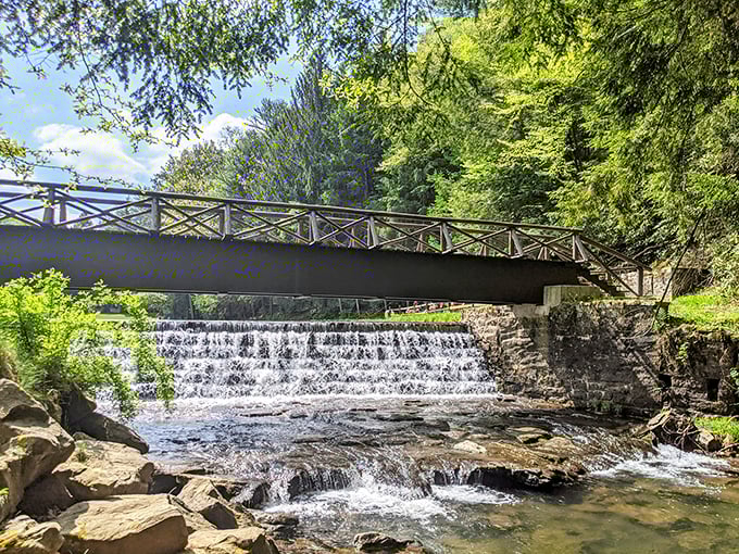 Nature's perfect soundtrack: a rustic footbridge spans the cascading waterfall, creating that rare moment when reality outperforms your desktop screensaver.
