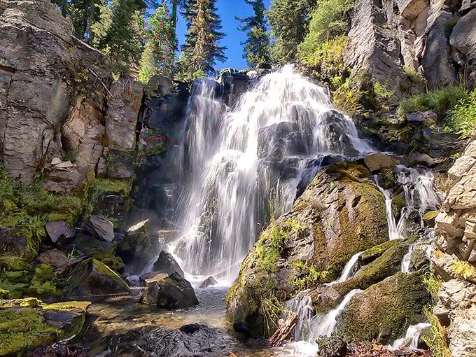 Nature's perfect crescendo: Kings Creek Waterfall cascades 30 feet down volcanic cliffs, framed by towering pines like nature's own concert hall.