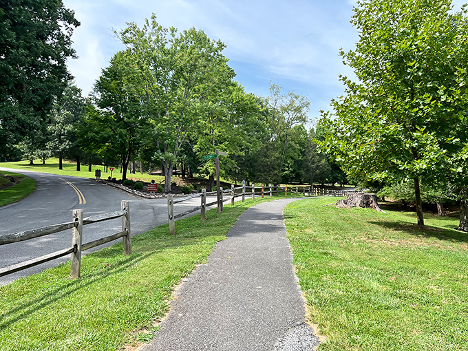 Winding paths that practically beg you to explore – nature's version of "choose your own adventure" without the dog-eared pages.