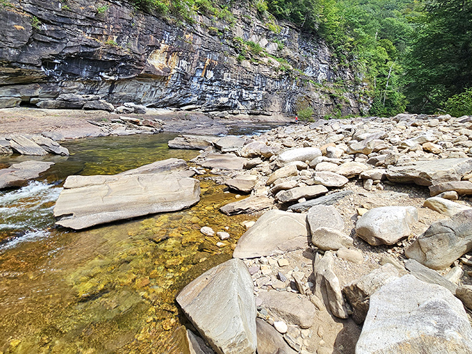 Dramatic rock walls tower above the creek bed, showcasing millions of years of geological history in one frame – Mother Nature's ultimate time capsule.