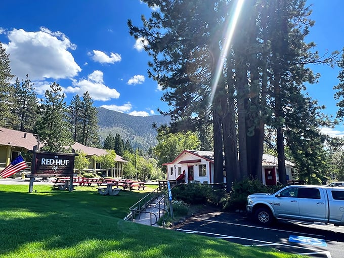 Nestled among towering pines, Red Hut Café's unassuming exterior belies the culinary treasures within. Motorcyclists already know the secret.