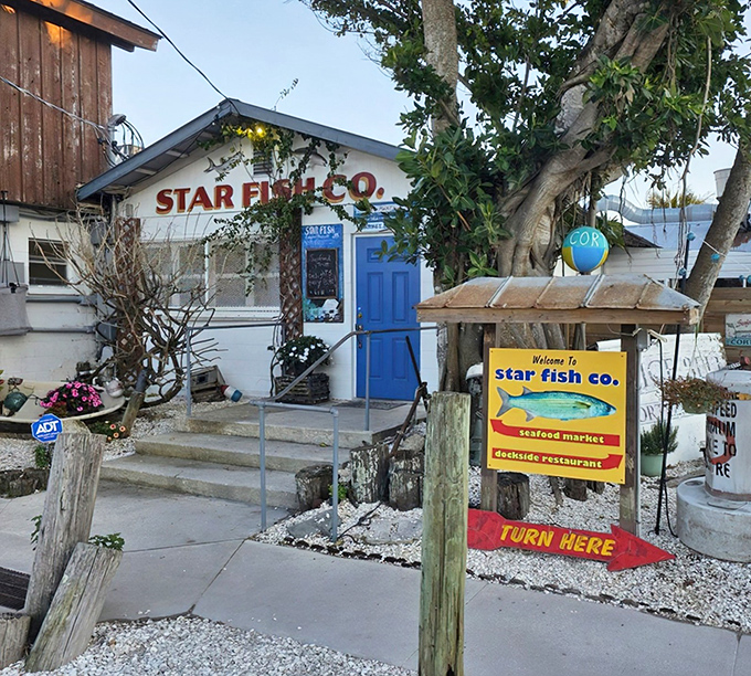 The unassuming entrance to seafood paradise. Star Fish Company's weathered charm and bright blue door promise authentic Florida flavors without an ounce of pretension.