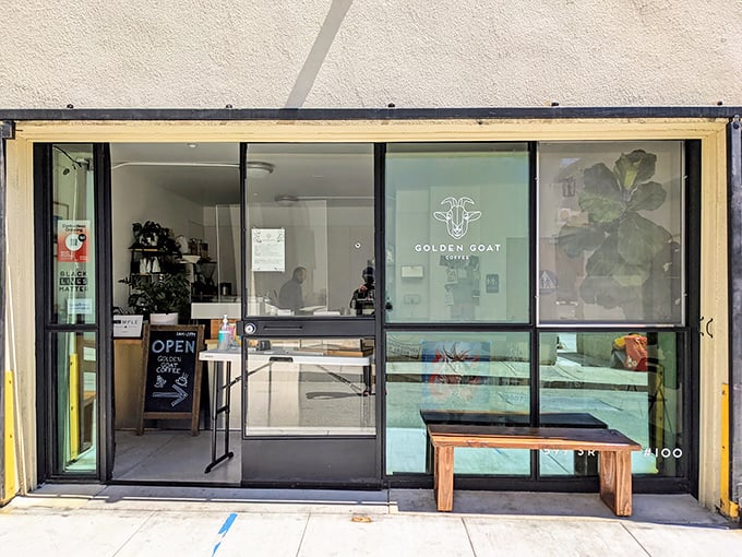 The unassuming storefront belies the treasures within—minimalist design with that distinctive goat logo promising caffeinated delights ahead.