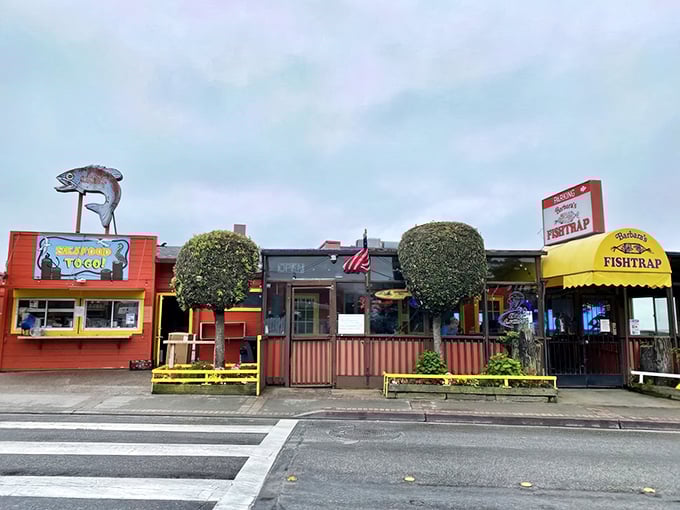 The bright red exterior of Barbara's Fishtrap stands out like a cheerful beacon for seafood lovers. No architectural awards here—just the promise of honest-to-goodness ocean treasures inside.
