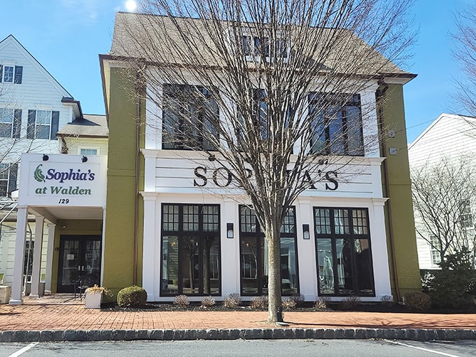 Sophia's distinctive architecture blends modern charm with classic elegance, much like their menu that balances tradition and innovation.