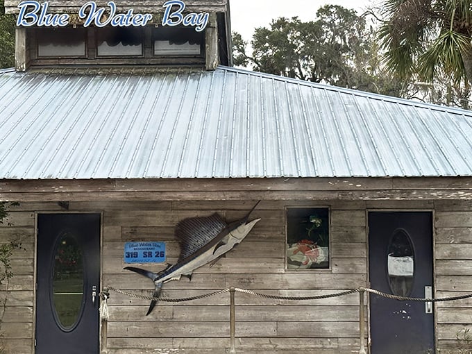 This weathered wooden exterior with its metal roof and mounted sailfish isn't trying to impress anyone—until you taste what's cooking inside.