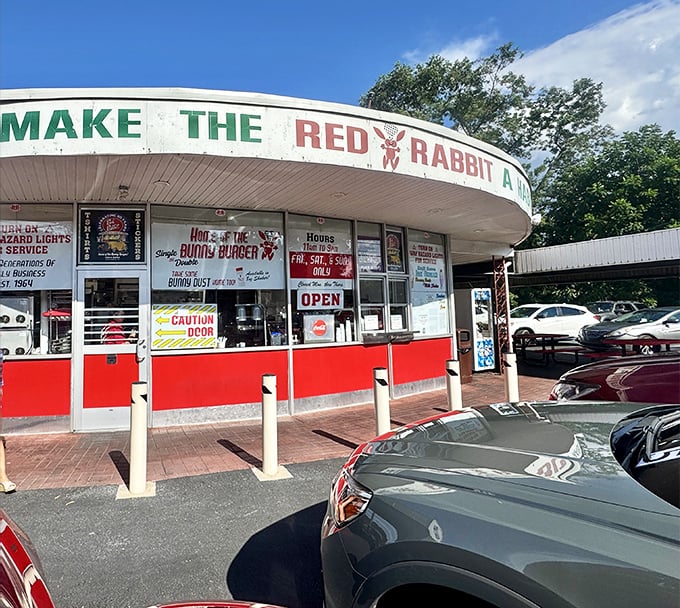 The iconic curved facade of Red Rabbit beckons like a time machine to the golden age of American drive-ins. Those red panels have witnessed decades of first dates and family outings.