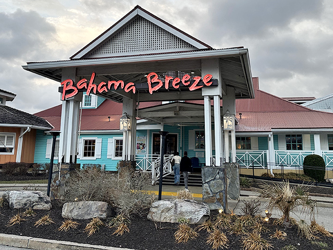The Caribbean calls from King of Prussia with this vibrant entrance to Bahama Breeze, where Pennsylvania winters melt away at first sight.