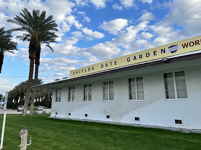 The iconic Shields Date Garden welcomes visitors with its vintage charm and towering palm trees—a true desert oasis where culinary magic happens.