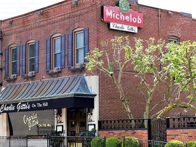 The iconic brick exterior of Charlie Gitto's, where that vintage Michelob sign has probably witnessed more St. Louis celebrations than the Cardinals' scoreboard.