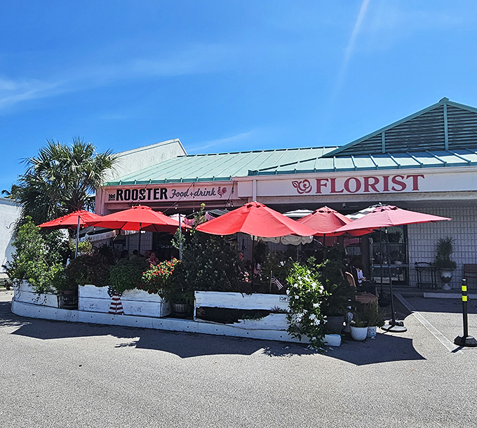 The Rooster's cheerful exterior with vibrant red umbrellas and lush flower boxes feels like Florida's answer to a Parisian sidewalk café—with better breakfast options.