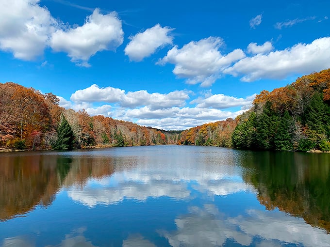 Mirror, mirror on the lake—autumn's fiery display doubles its impact when reflected in Rose Lake's glass-like surface. Nature showing off at its finest.
