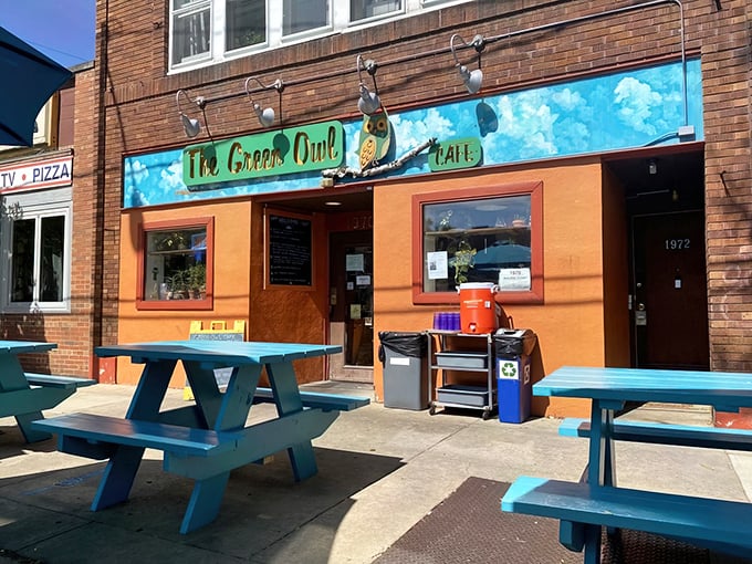 The Green Owl's vibrant orange facade and turquoise picnic tables aren't just inviting—they're practically shouting "Come eat something delicious!" across Madison's east side.
