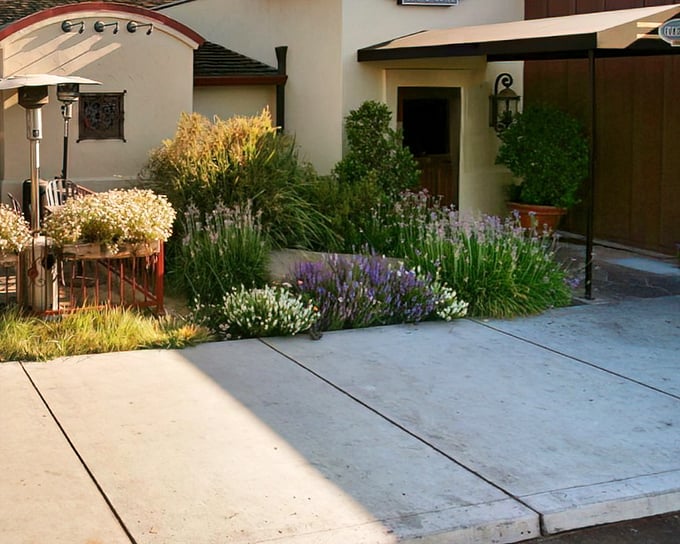 A garden oasis greets diners with lavender and ornamental grasses. Nature's appetizer before the main event begins.