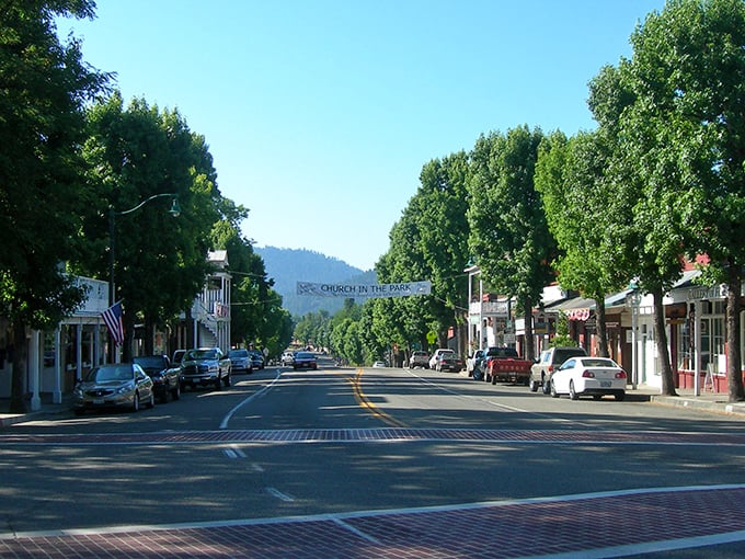 Main Street Weaverville stretches toward the mountains like a postcard from a simpler time, when traffic jams meant three cars at the stop sign.