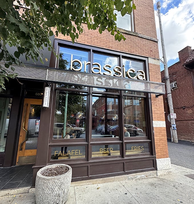 Brassica's sleek storefront in Columbus' Short North district invites passersby with its modern façade and warm wooden accents—Mediterranean magic hiding in plain sight.