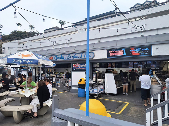 This unassuming storefront holds treasures that would make Poseidon jealous – and parking's easier than finding Nemo.