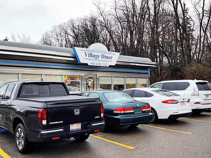 With its retro blue-and-white sign and cozy diner charm, Village Diner feels like a nostalgic roadside gem — the kind of place where locals gather and comfort food never misses.