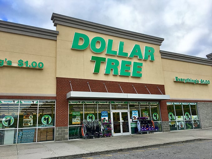 The iconic green signage beckons like a siren call to bargain hunters. This isn't just shopping—it's a treasure hunt with guaranteed rewards.