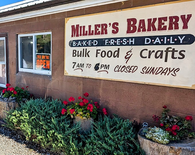 Nestled among Ohio's rolling hills, this humble bakeshop proves that extraordinary flavors don't require fancy facades—just generations of baking wisdom.