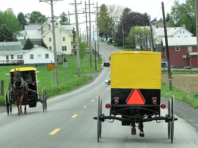 Two worlds passing on a country road – Amish buggies sharing asphalt with modern life, a daily dance that's been choreographed for generations in Belleville.