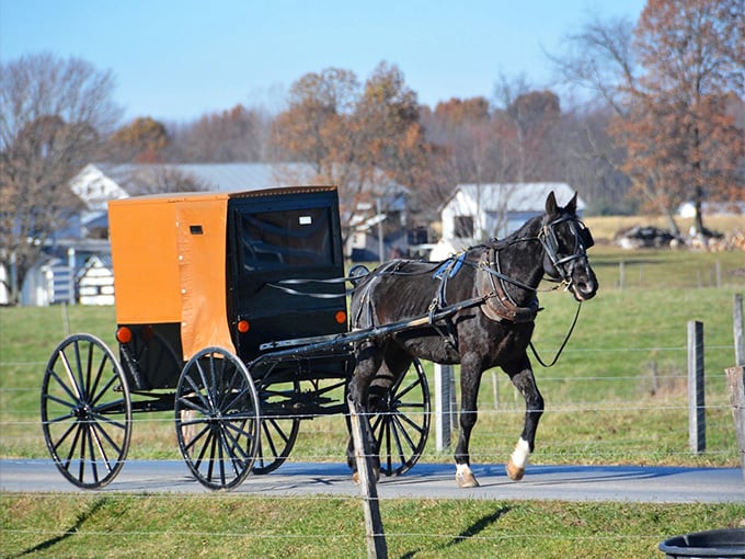 The iconic orange-topped Amish buggy – where horse-powered transportation isn't retro, it's simply the way of life in New Wilmington.
