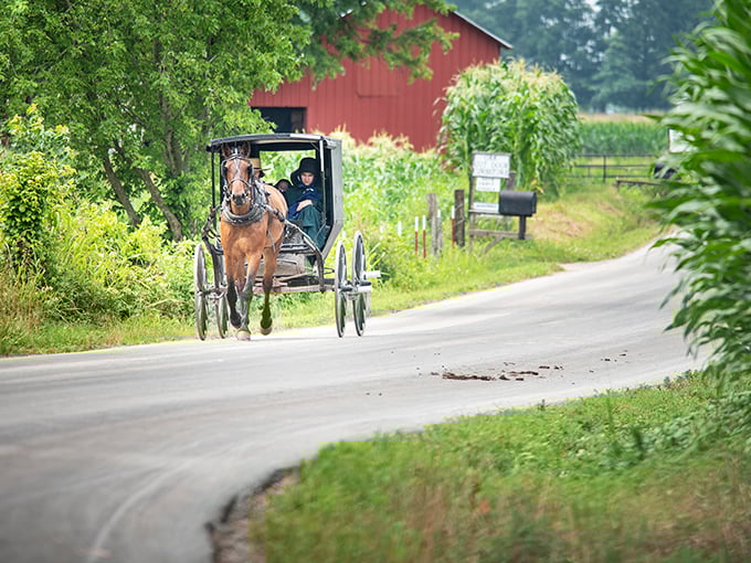 Horse and buggy transportation isn't just for historical reenactments here—it's Tuesday's commute. The original eco-friendly vehicle with built-in GPS (God's Positioning System).