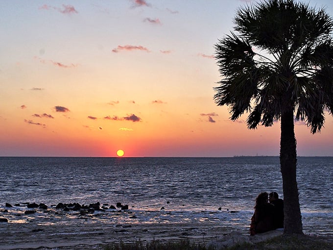 Those palm trees aren't just standing there – they're auditioning for every Florida postcard ever made.