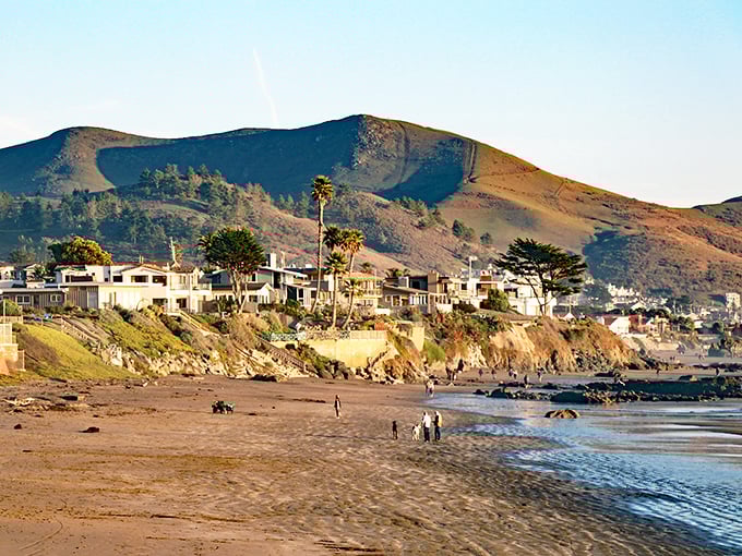 Golden hour transforms these coastal bluffs into a scene straight out of a California tourism commercial – except this slice of paradise actually exists.
