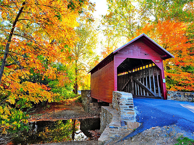 Fall's fiery palette creates nature's perfect frame for this crimson treasure. Maryland's architectural time machine stands ready for your next Instagram moment.