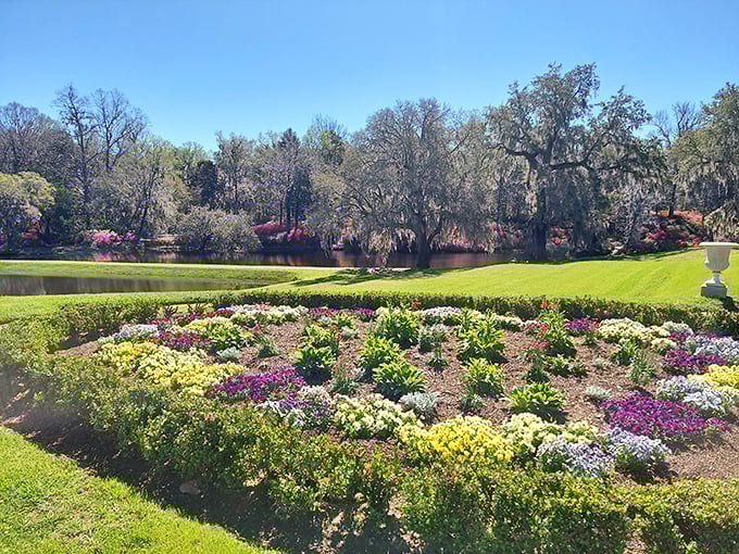 Nature's color wheel on full display. This meticulously designed garden bed offers a front-row seat to the Lowcountry's natural splendor.