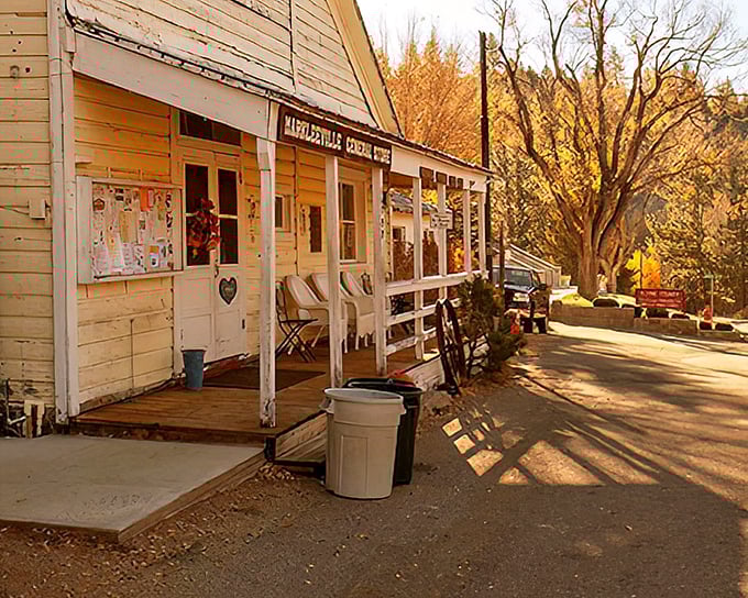 The Markleeville General Store stands as a time capsule with its weathered wooden porch and community bulletin board—small-town America in its most authentic form.
