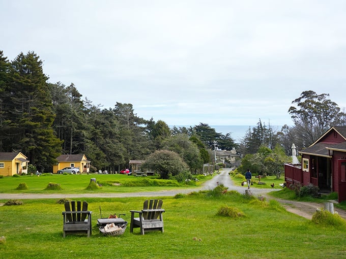 Adirondack chairs facing the Pacific – nature's version of front-row seats to the greatest show on earth. Just add wine and sunset.