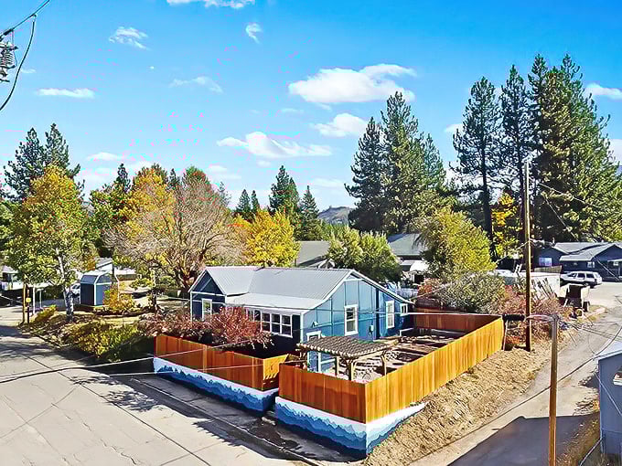 Portola's residential charm on full display with pine-framed homes and golden autumn foliage—small-town living with big mountain character.