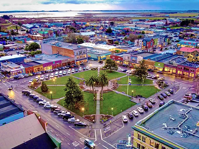 Arcata's historic Plaza from above – where small-town charm meets big-time beauty. Those palm trees aren't just for show; they're California's welcome committee.