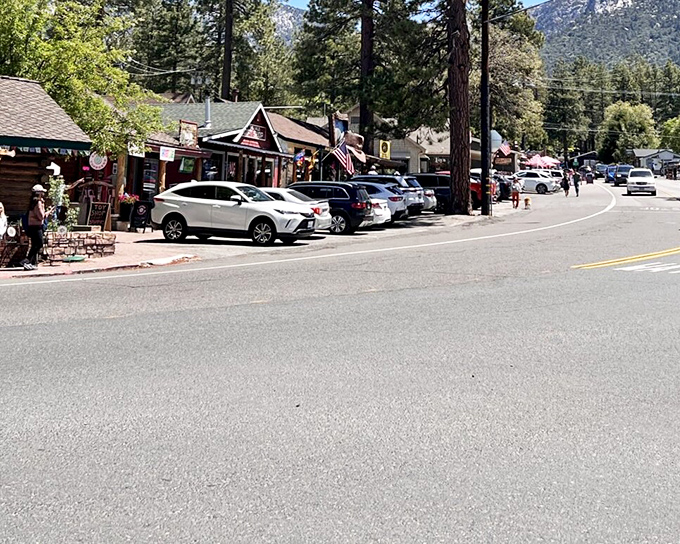 Downtown Idyllwild welcomes you with rustic charm and mountain character. Those towering pines aren't just scenery—they're the town's elder statesmen.