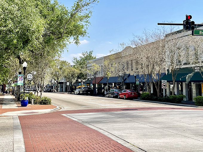 Bartow's skyline offers a perfect blend of small-town charm and surprising architectural flair. That panther mural isn't just street art—it's a statement.